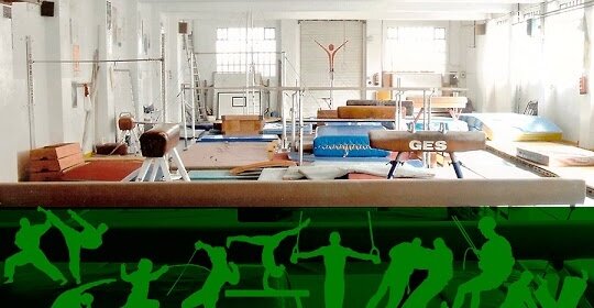 El Gimnàs Llenas posa punt i final a més de mig segle de gimnàstica ...